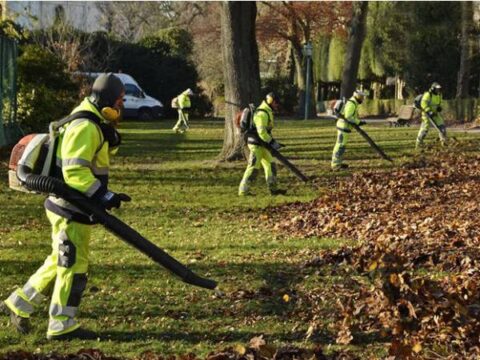 What is a Fall Yard Cleanup? - EDPS Property Services